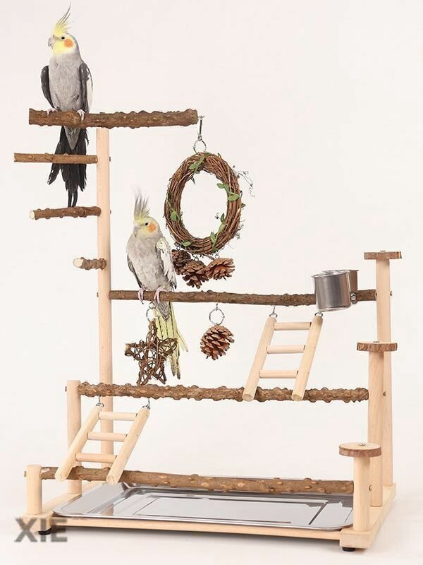 Эксклюзивный игровой комплекс для попугая с лестницей, качелями, лазалками и подставкой из перца приобретается со скидкой 60 процентов