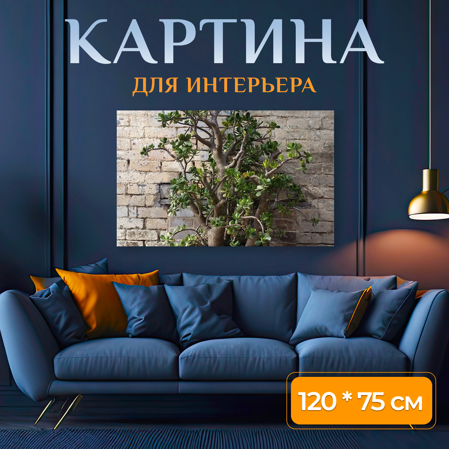 Картина на холсте "Крассула яйцевидная, растение в горшке, денежное дерево" на подрамнике 120х75 см. для интерьера