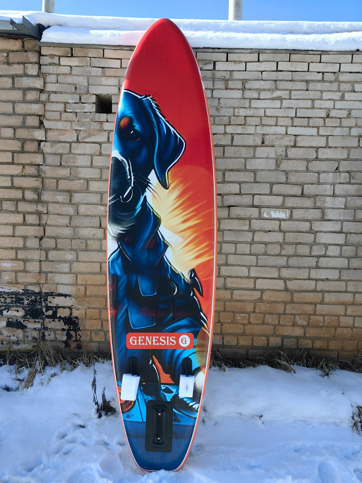 Sup-доска Сапборд двухслойный надувной Genesis jellyfish Sup-доска 335*81*15 С Собакой