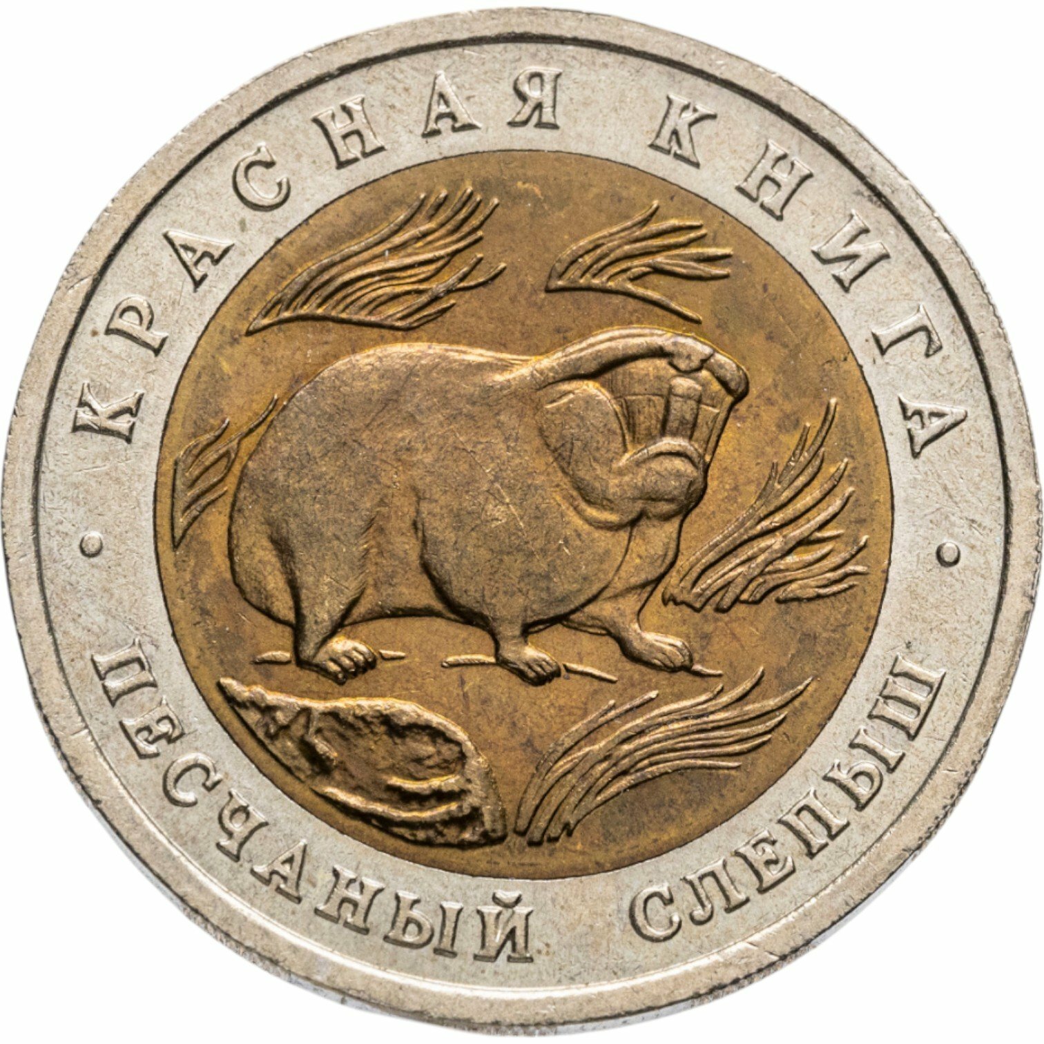 50 рублей 1994 ЛМД Песчаный Слепыш - Красная Книга, Биметалл, в сохранности AU-UNC