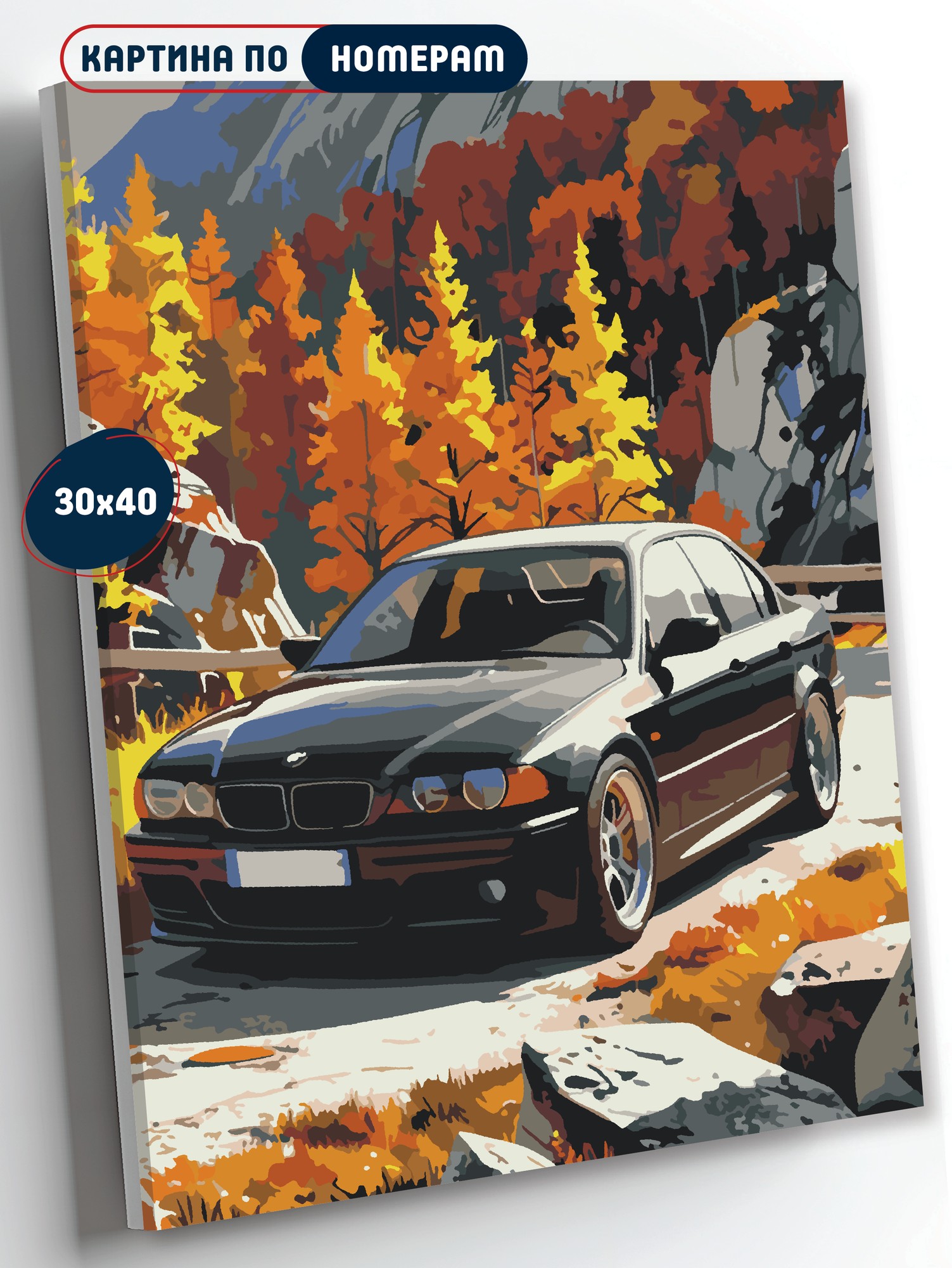 Картина по номерам "BMW E39 №2", Холст на подрамнике 30х40
