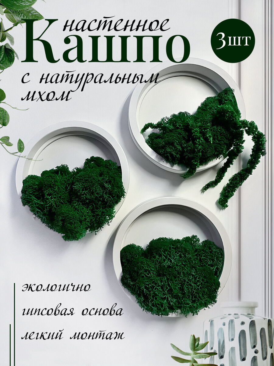 Настенные кашпо StabFlora, с мхом, 10 см, крепление в комплекте, 3 шт