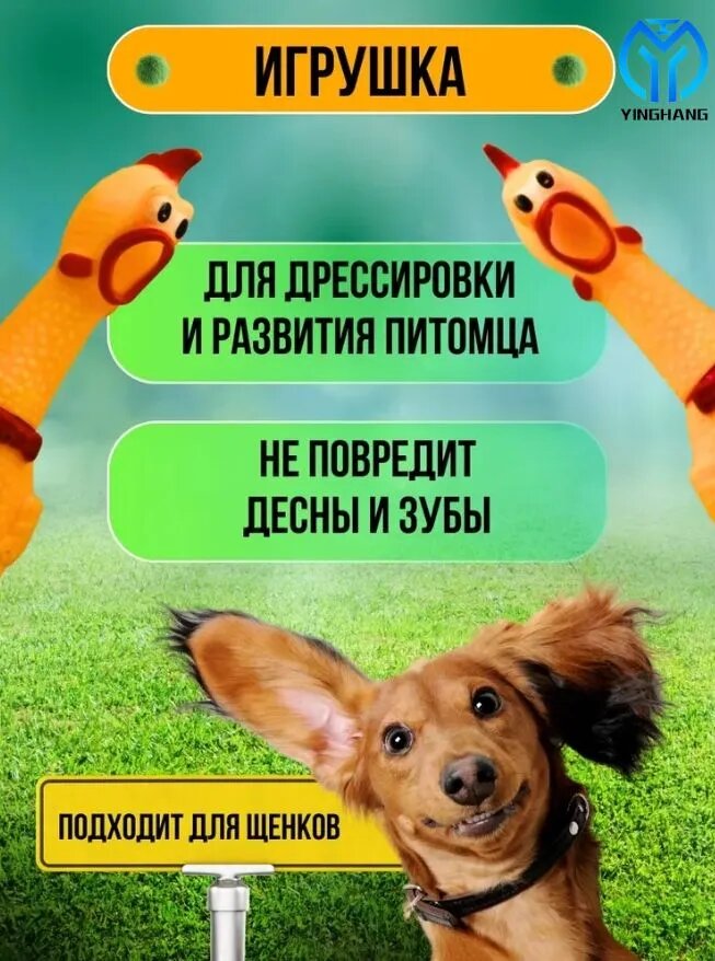 Игрушка для собак и щенков кричащая курица с пищалкой / Развивающая игрушка антистресс для средних пород 30 см