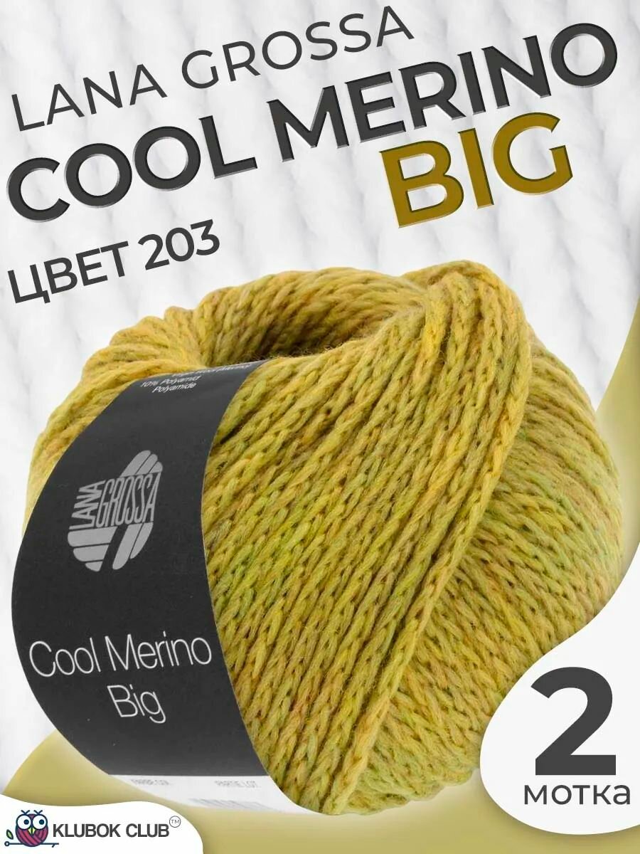 Пряжа для вязания Lana Grossa Cool Merino Big шнурок, цвет 203, 2 мотка