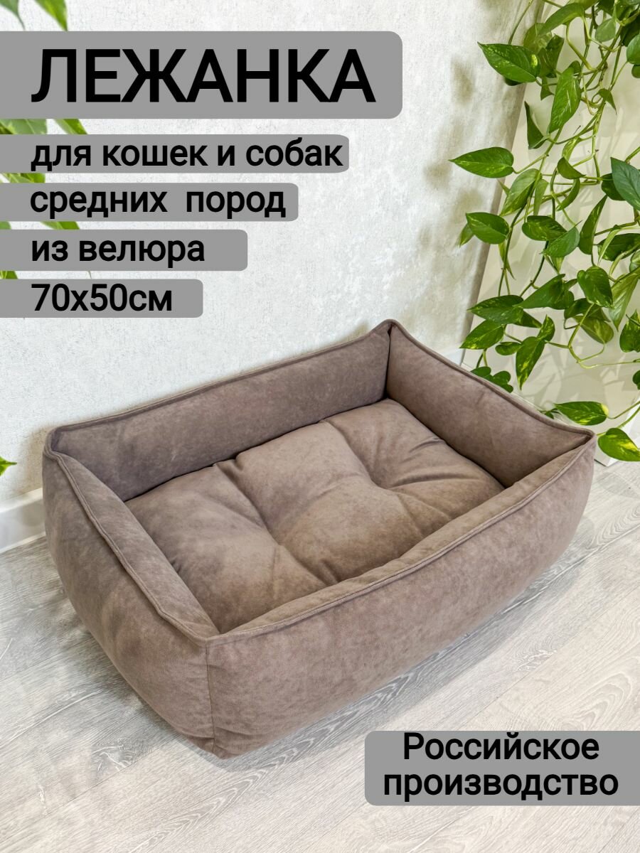 Лежанка для собак средних пород и кошек 70х50 см