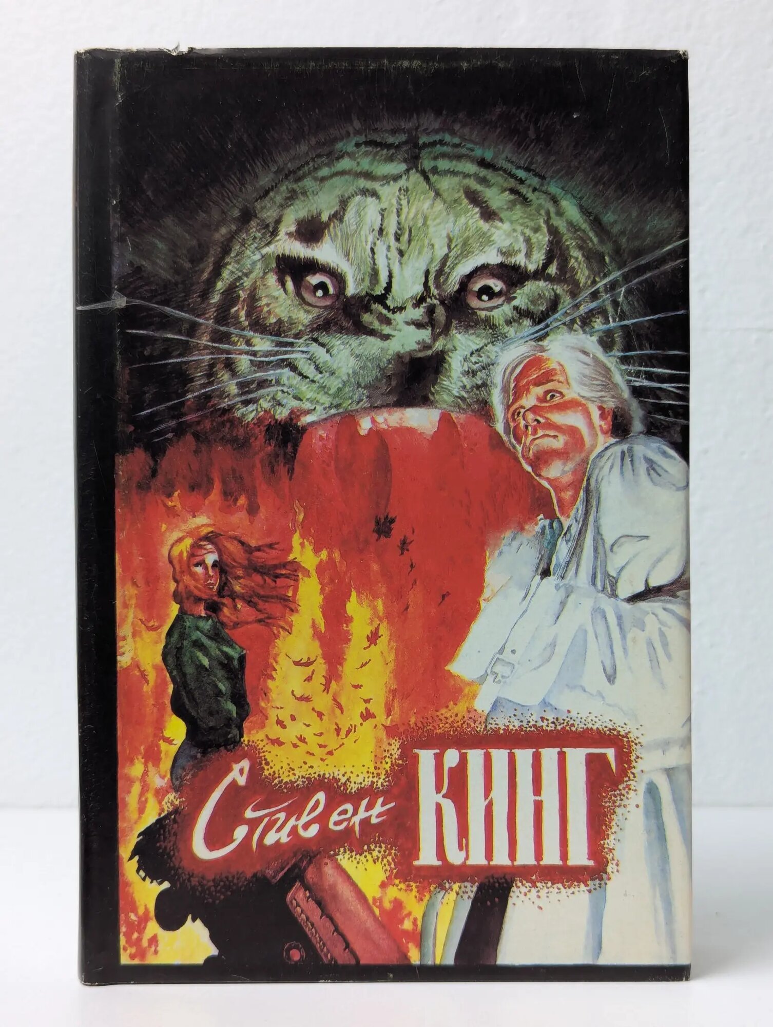 Мертвая зона. Воспламеняющая взглядом Кинг Стивен Эдвин 1993