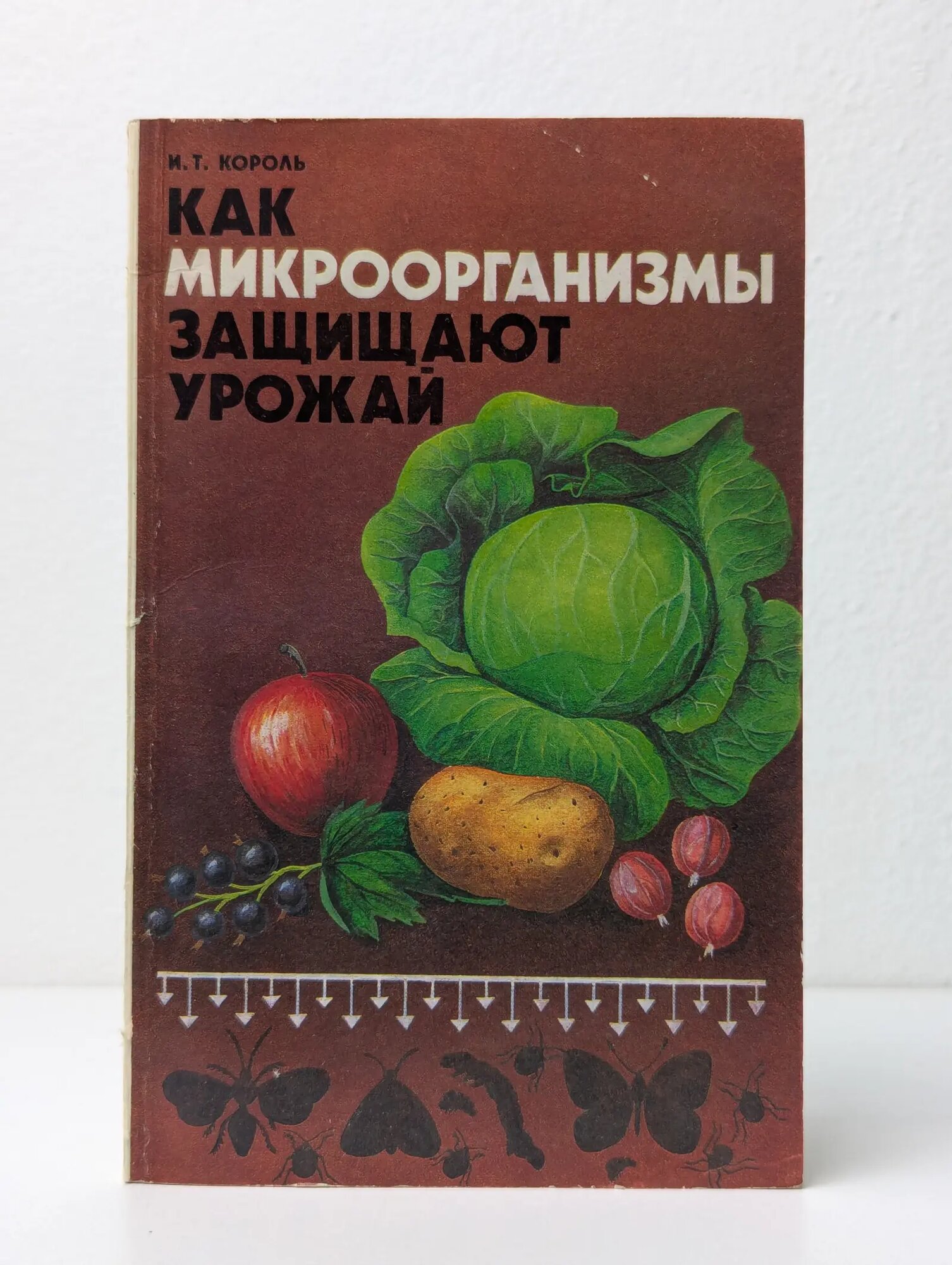 Как микроорганизмы защищают урожай Король Инесса Трофимовна 1986