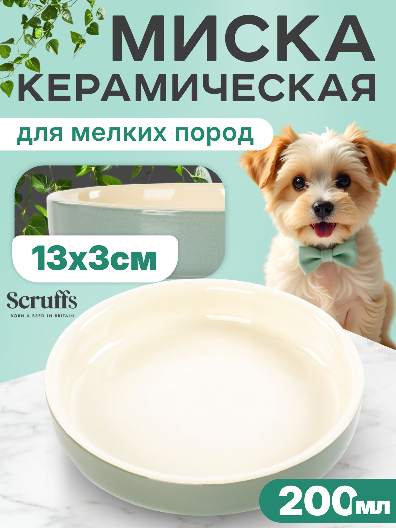 Миска керамическая для мелких пород собак и кошек SCRUFFS "Classic Soucer", зеленая, 13х13х3см, 200мл (Великобритания)