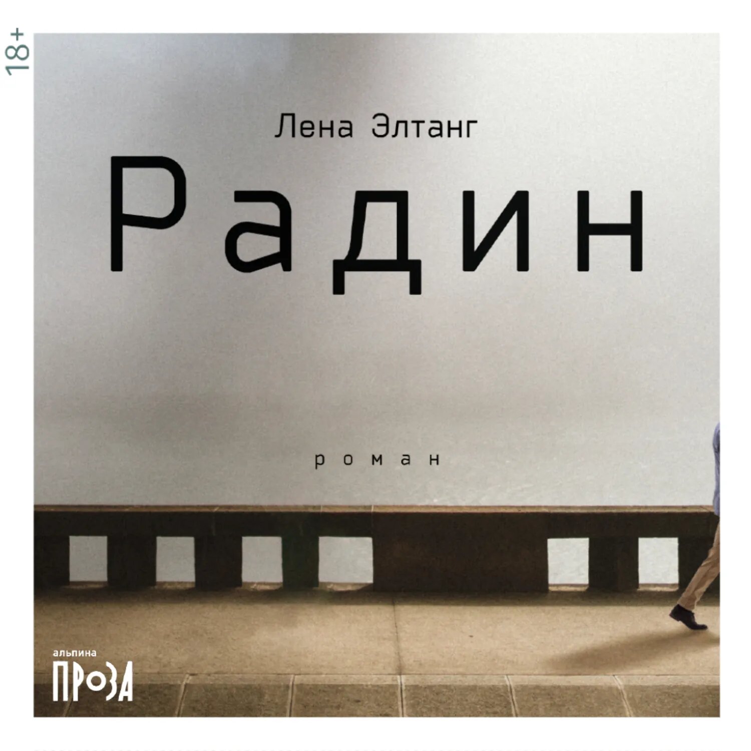 Радин [Аудиокнига]