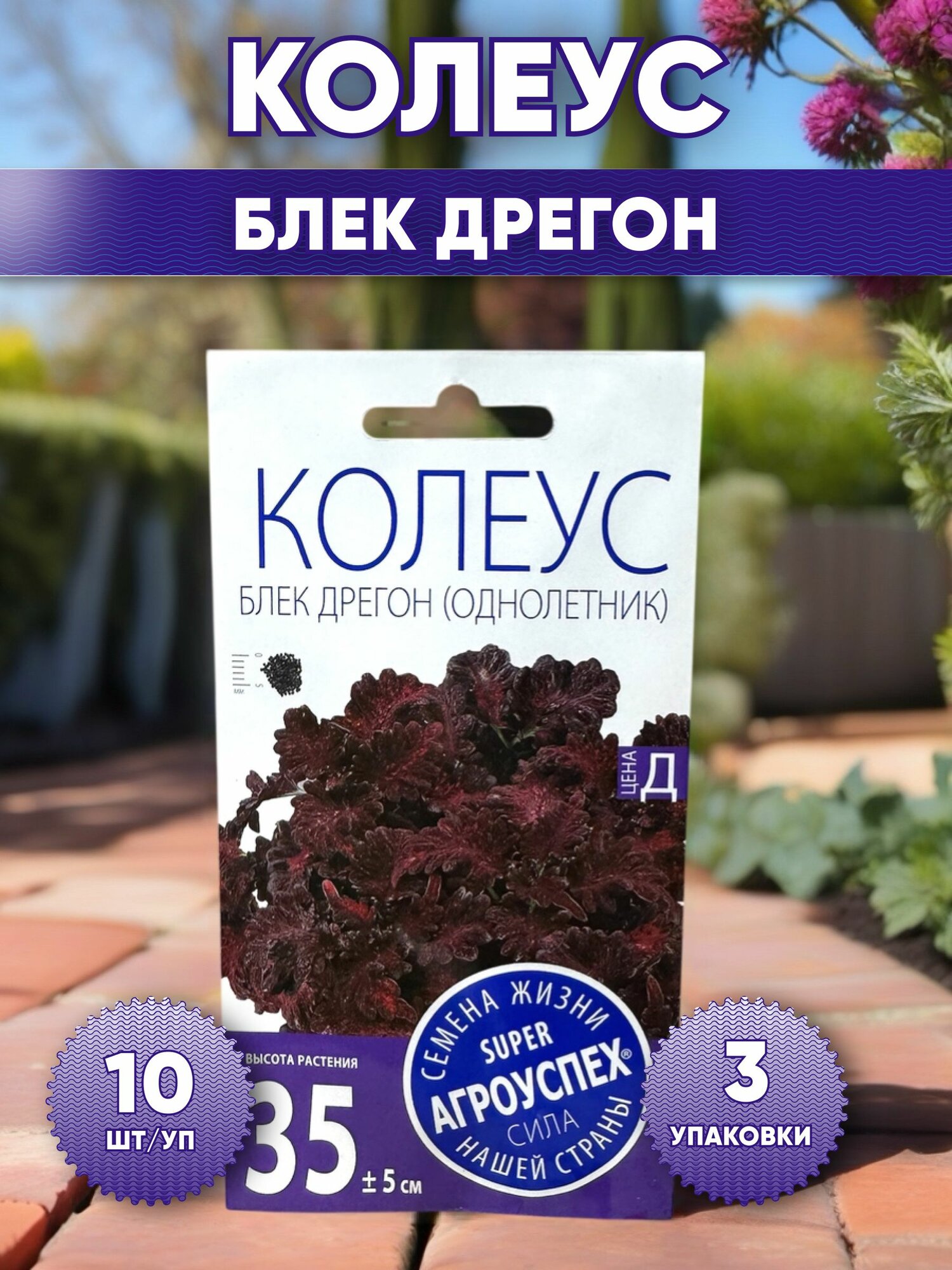 Семена Колеус Блек Дрегон 10шт/3уп