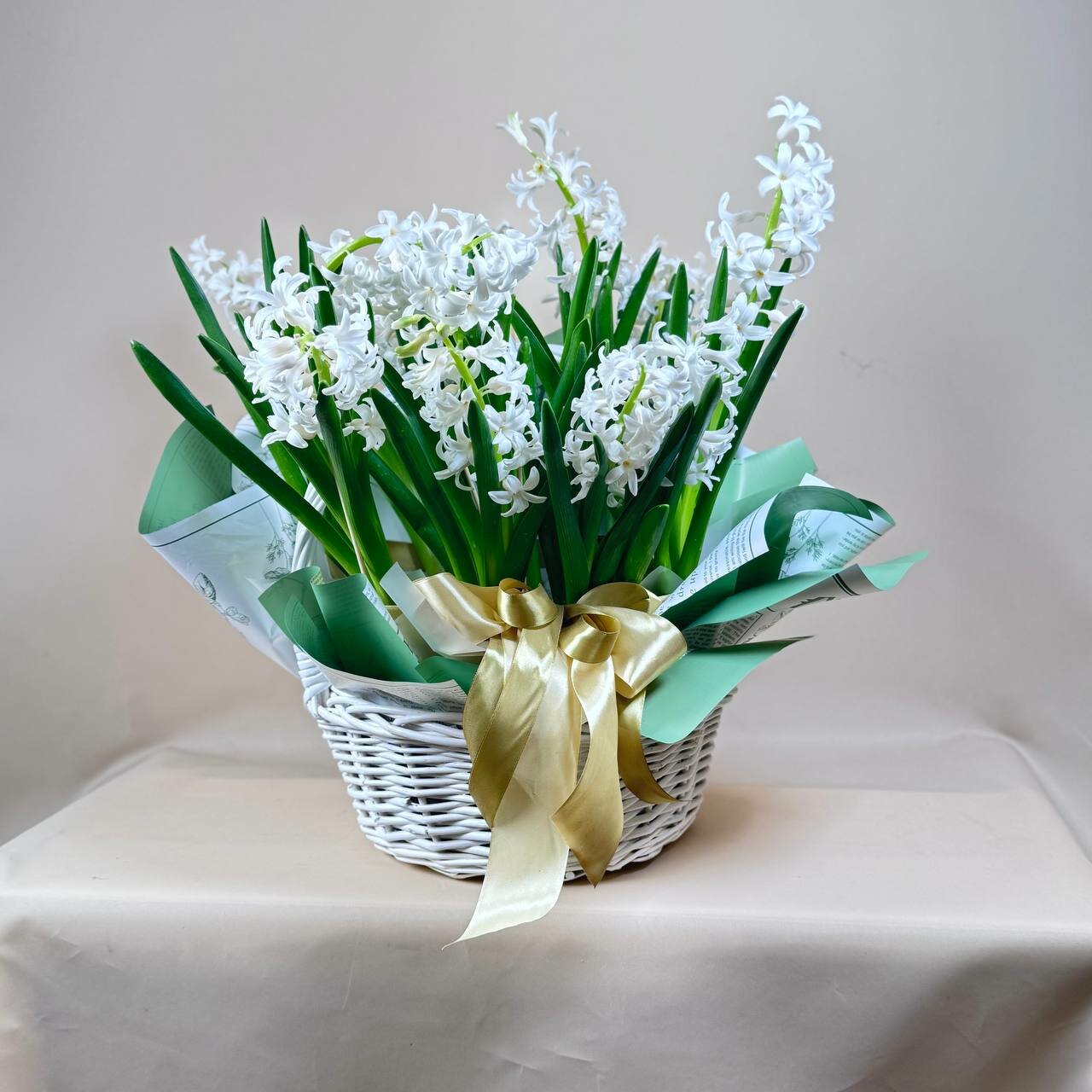 Большая корзина с гигантскими белыми ароматными гиацинтами на луковицах