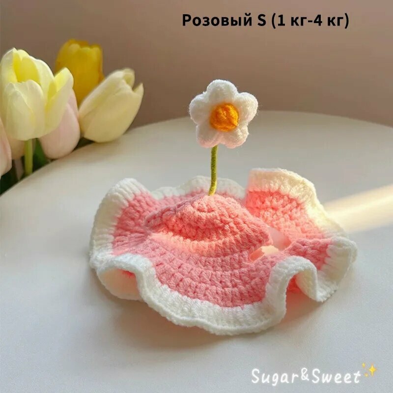 Вязаные шапочки для кошек и собак