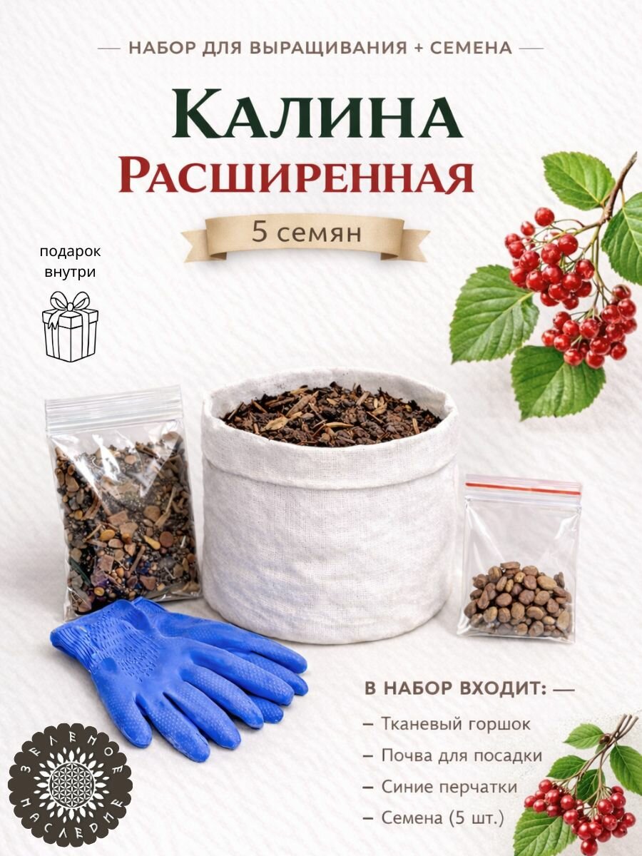 Домашний набор для выращивания Калины расширенной / Подарок для юного садовода