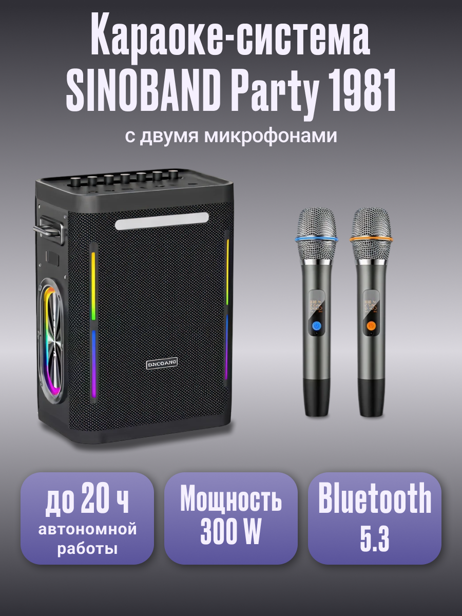 Караоке система с двумя микрофонами Sinoband Party 1981 300W