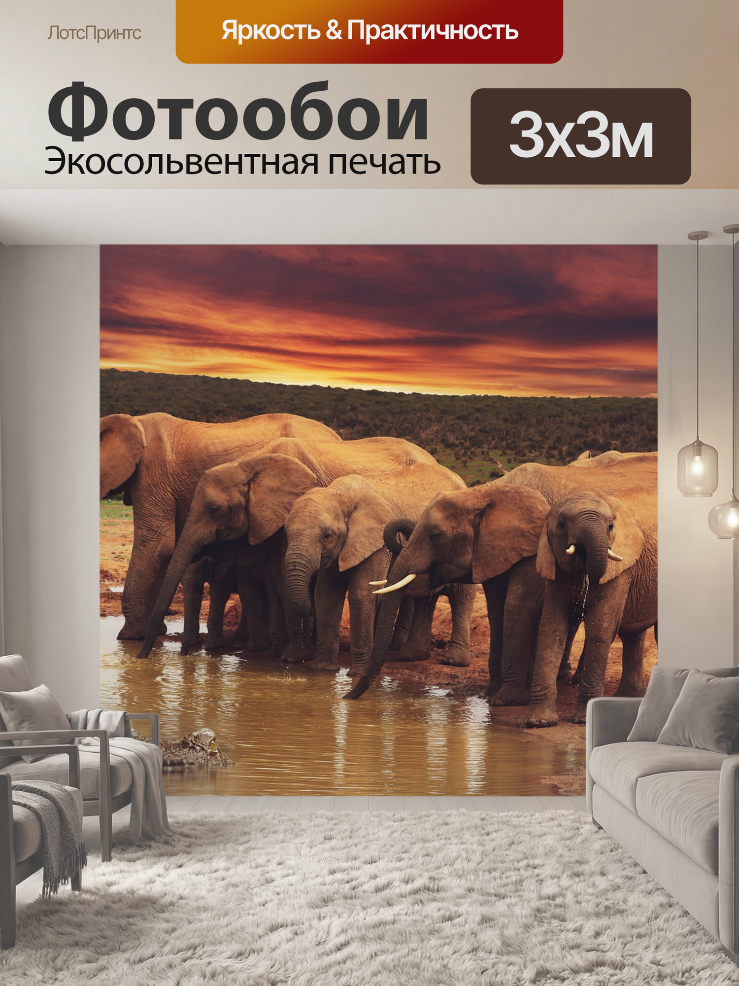 Фотообои "Слоны, дорогой, облака" 300x300 см. экосольвентная печать