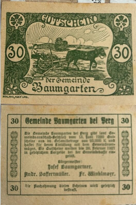 Австрия 30 геллеров 1920 Баумгартен aUNC