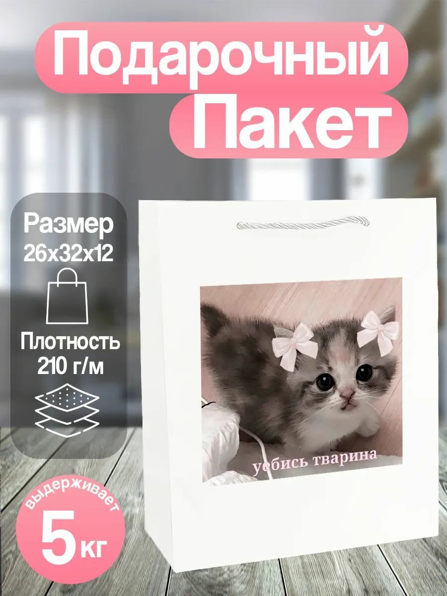 Пакет подарочный мем котики