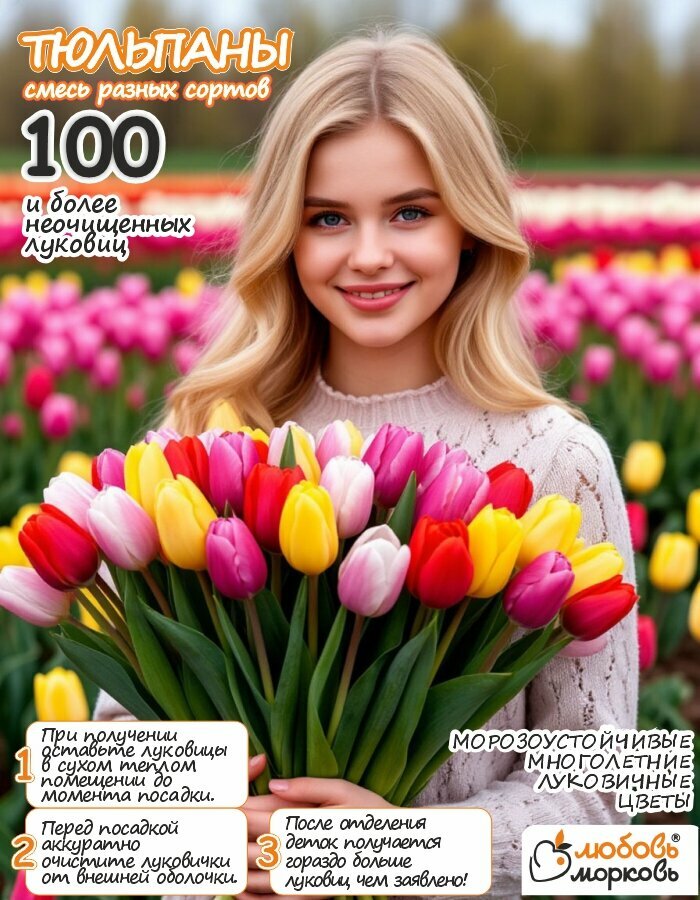 Тюльпан луковицы 100 штук микс, очищенные