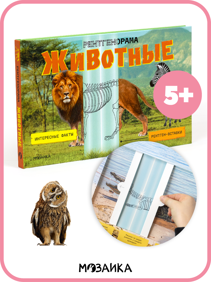 Интерактивная книга Животные мозаика kids для детей 5+, Рентгенорама, Умная книжка сканер, рентген вставки