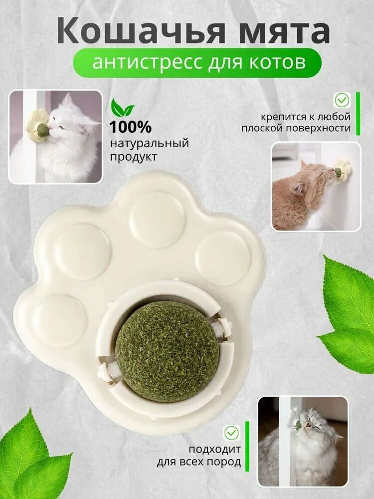 Кошачья мята, антистресс, лакомство для кота