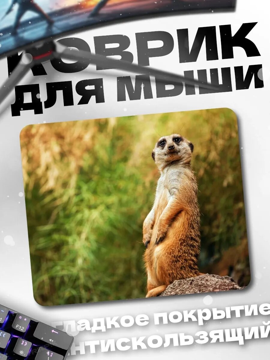 Коврик для мыши Сурикат на камне