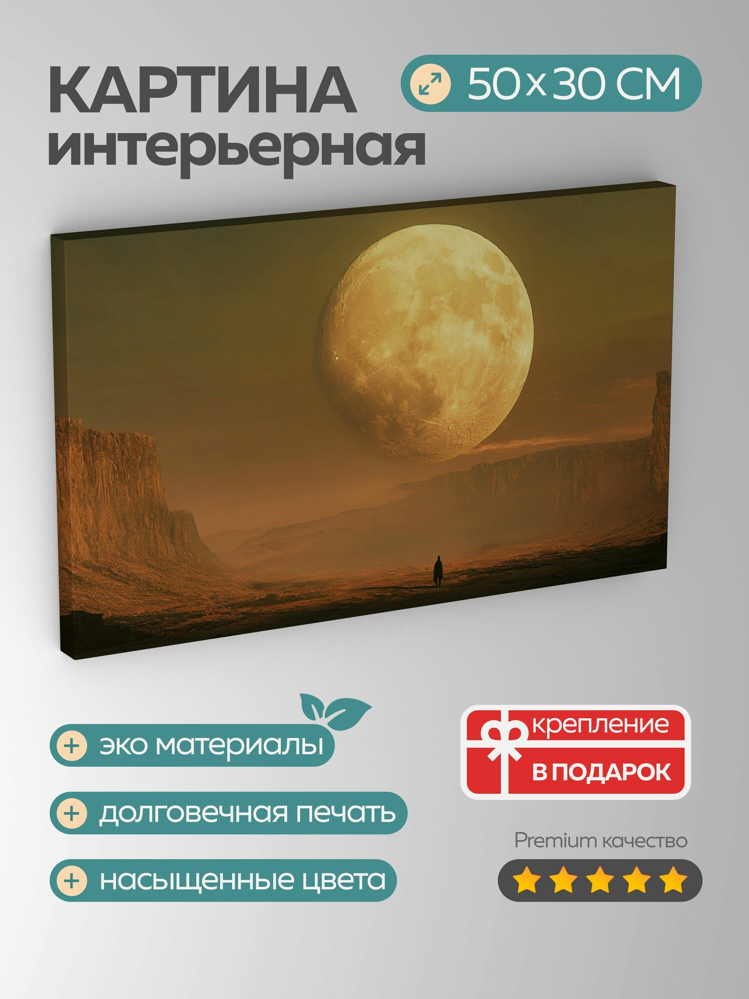 Картина на холсте интерьерная 50х30 см, луна, одиночество, таинственность, фигура, пространство, созерцание, фотография