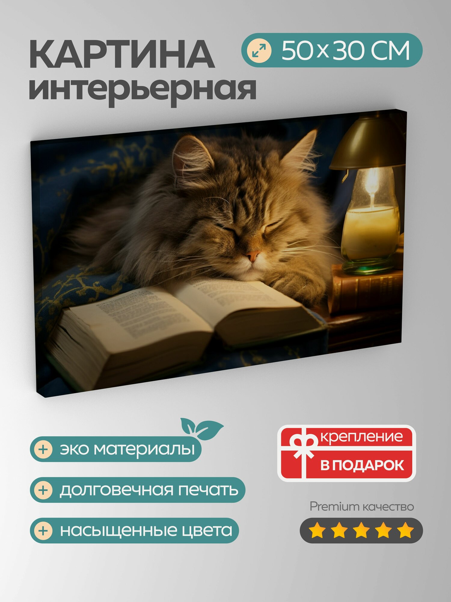 Картина на холсте интерьерная 50х30 см, кошка, сон, британская кошка, пушистый мех, свет, лампа для чтения, сияние