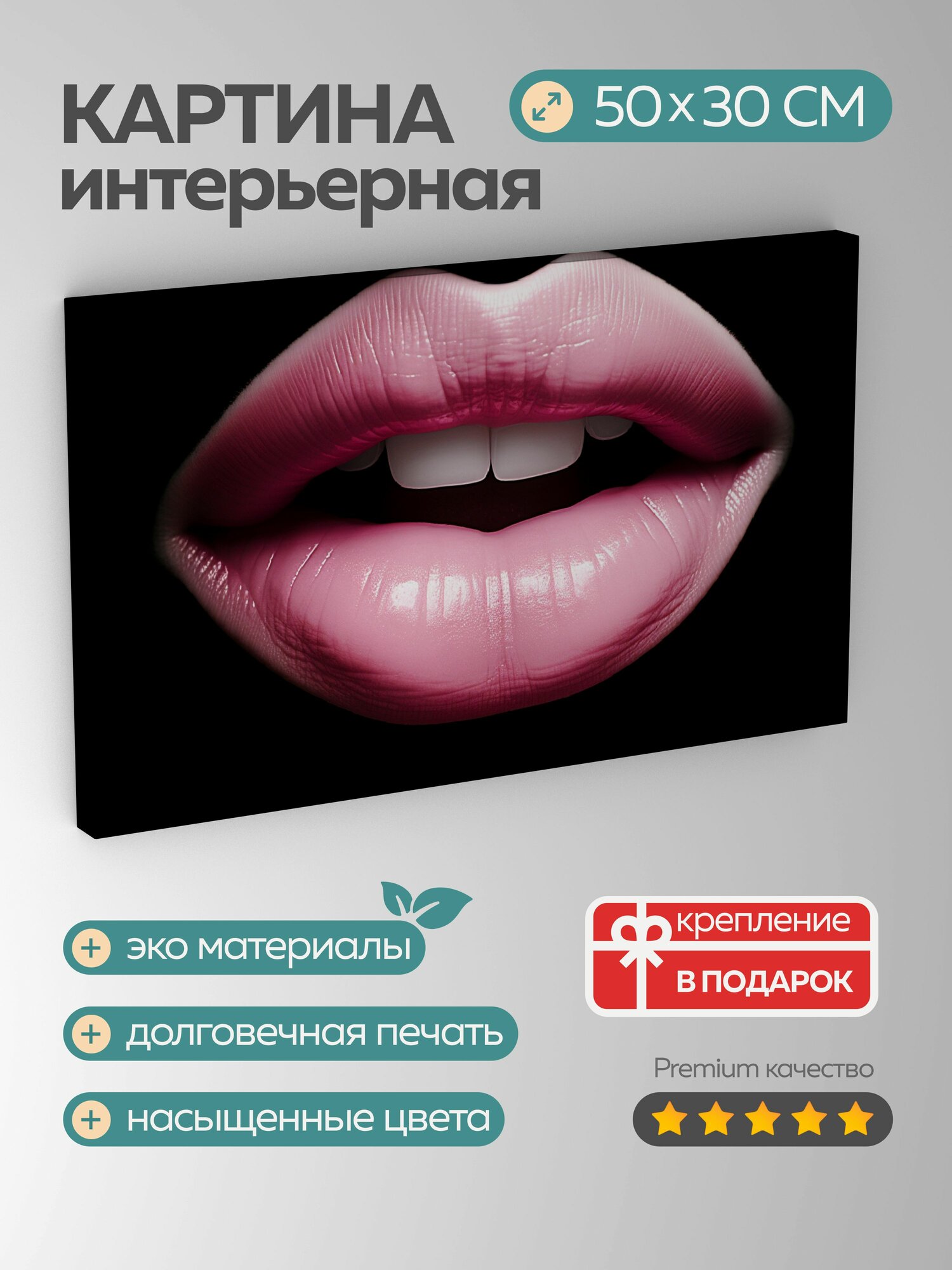 Картина на холсте интерьерная 50х30 см, минимализм, черно-белая фотография, розовая губа, изящные изгибы, контуры