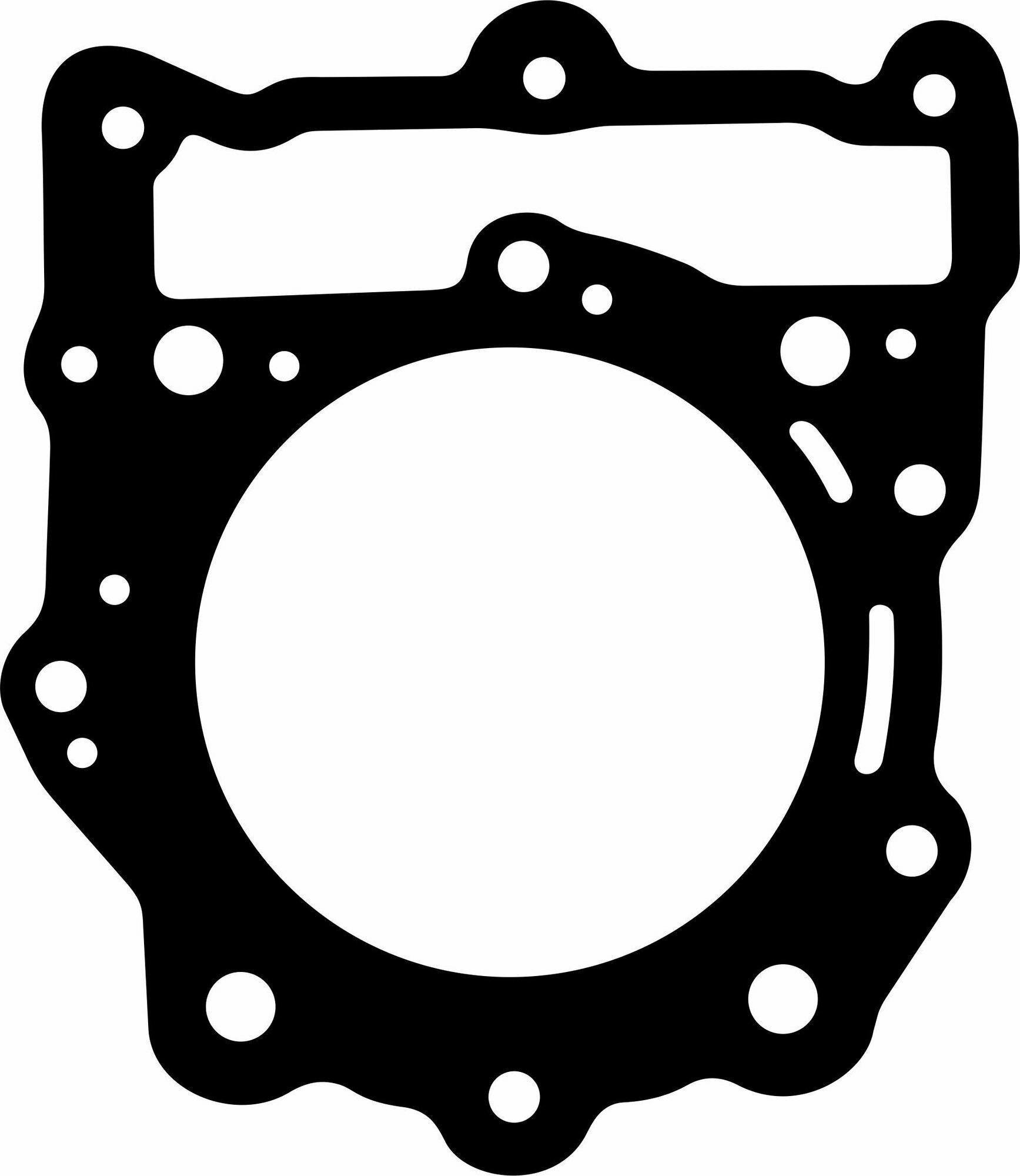 Прокладка ГБЦ для мотоциклов BMW F650GS (11127678889)