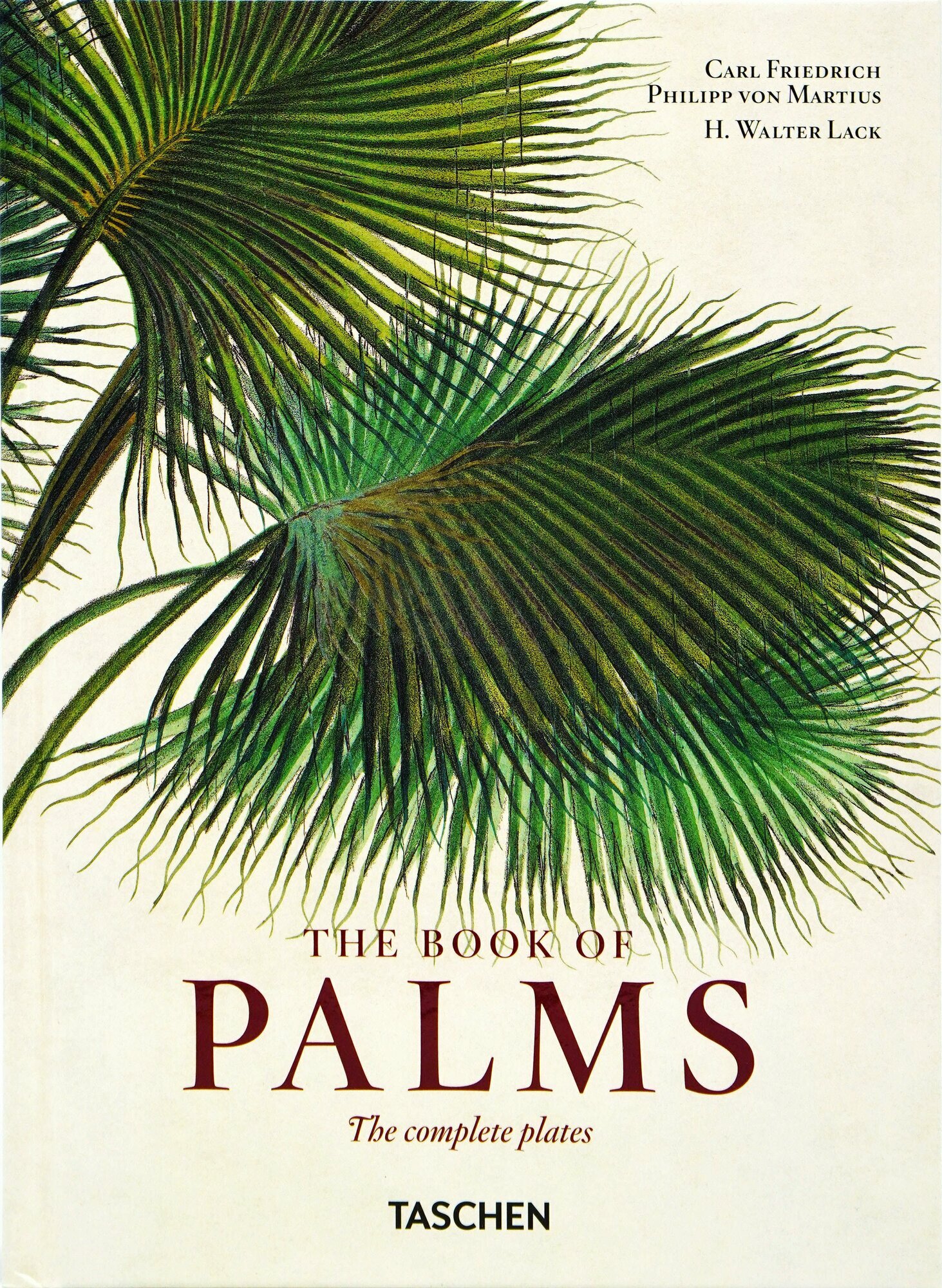 Martius. The Book of Palms. 40th Ed.