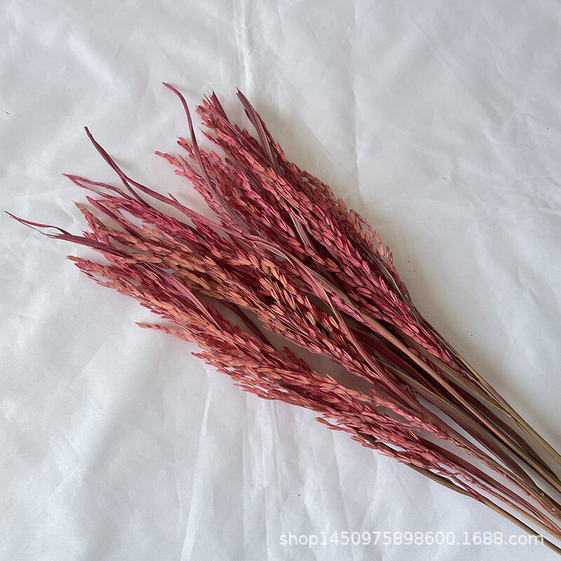 Сушеные рисовые колосья, темно-розовые, 10 палочек