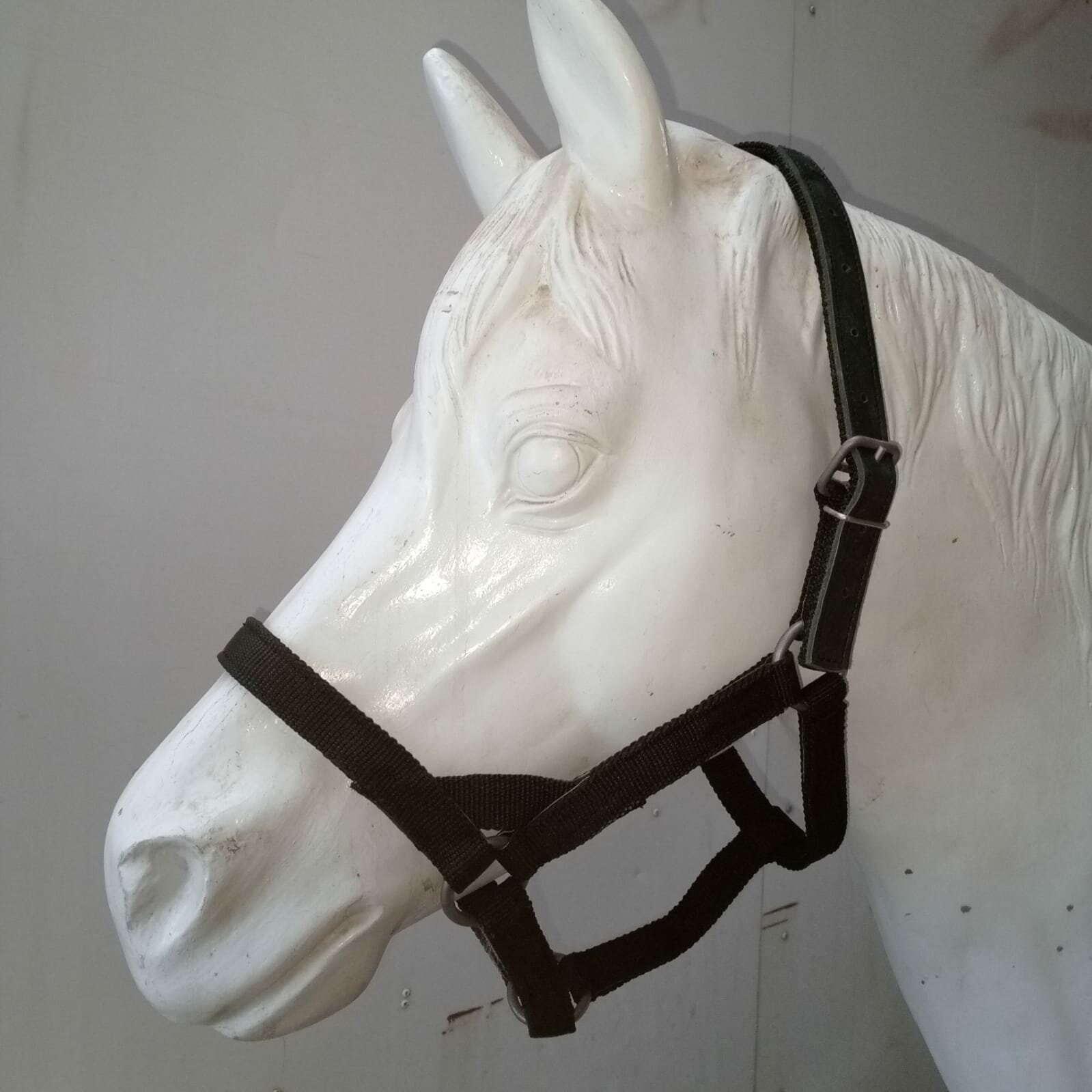 Недоуздок для лошади