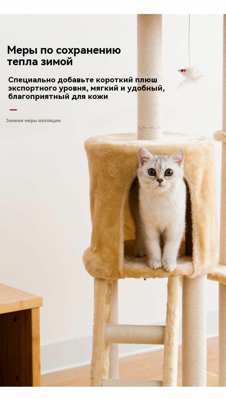 Когтеточка — фото 1