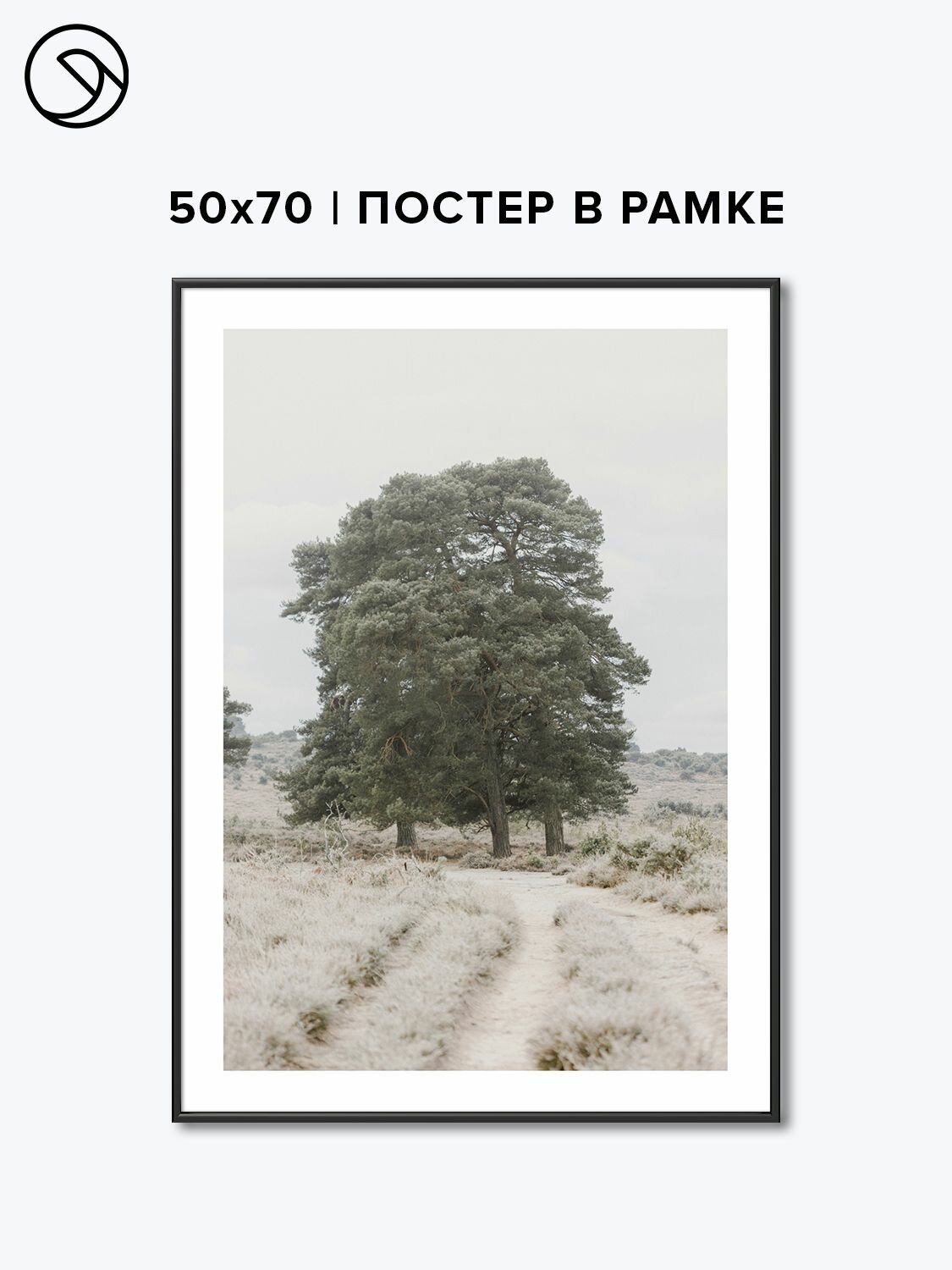 Постер в рамке 50х70 Postermarkt Дорога к Дереву