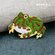 Патч Frog, вышивка лягушки, 4x2.8 см