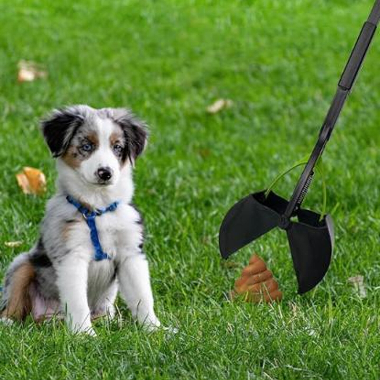 Складной совок для собак, многоцелевой, большой емкости, с длинной ручкой, совок для домашних животных, для больших, средних, маленьких собак