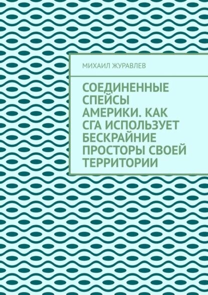 Соединенные Спейсы Америки. Как СГА использует бескрайние просторы своей территории [Цифровая книга]