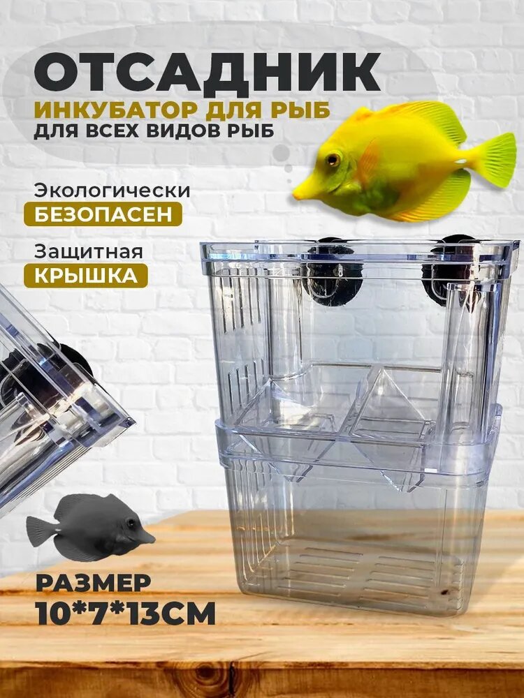 Отсадник инкубатор для рыб пластиковый 10х13х7 см