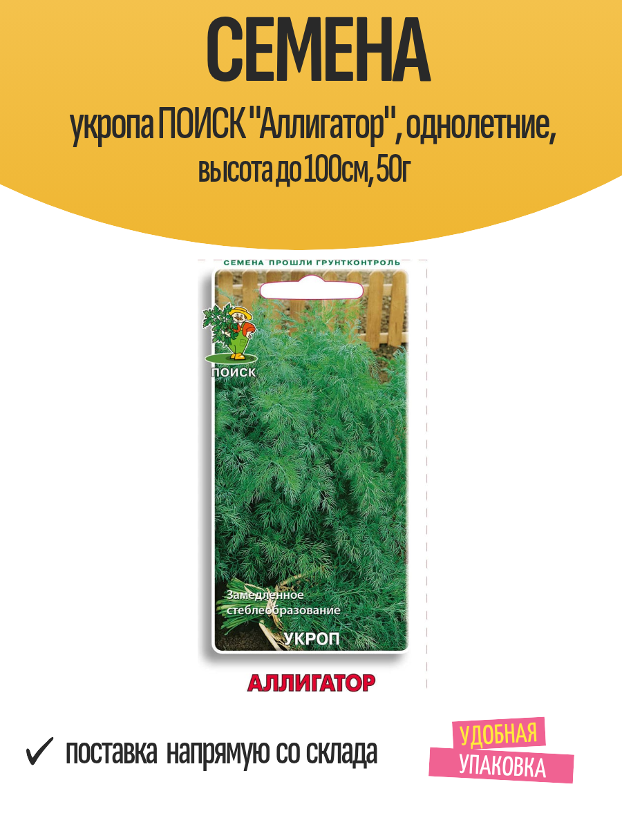 Семена укропа поиск "Аллигатор", однолетние, высота до 100см, 50г