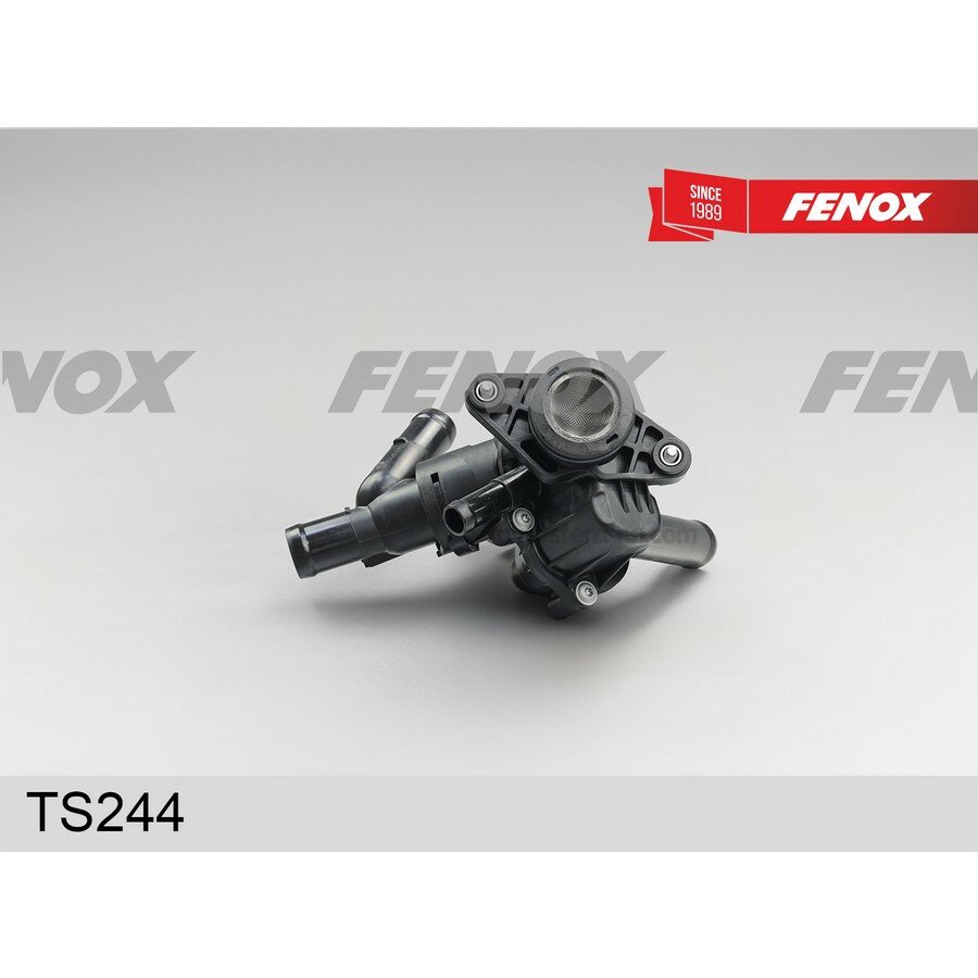 FENOX TS244 Термостат