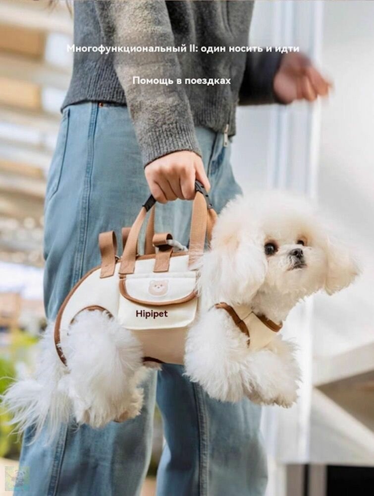 Переноска chenchen