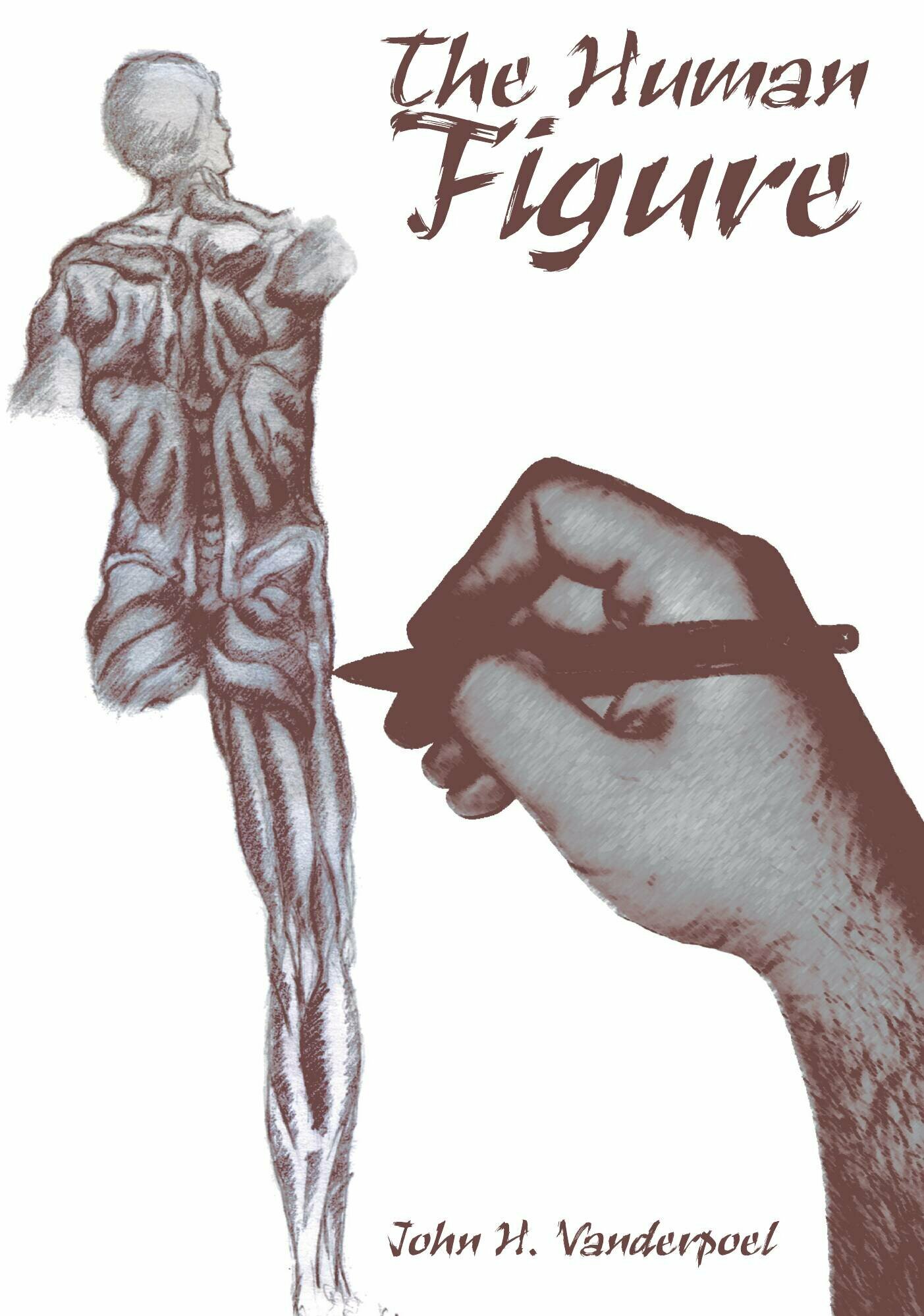 The Human Figure