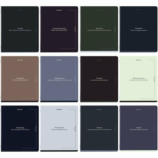 Тетради предметные Brauberg , комплект 12 предметов, 48 л, SoftTouch, "VINTAGE", 405183