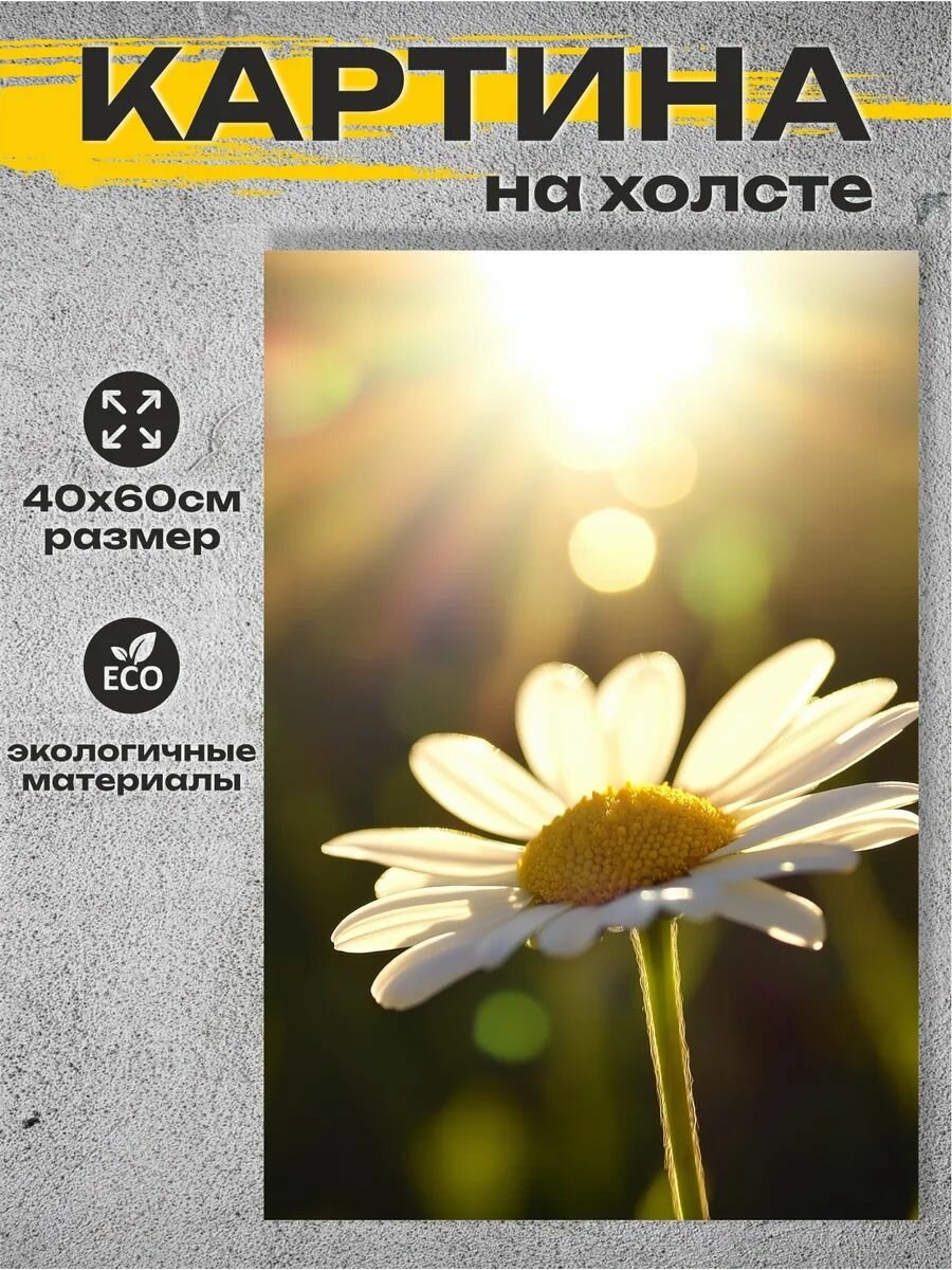 Картина на стену на холсте "Ромашки" 60х40 см