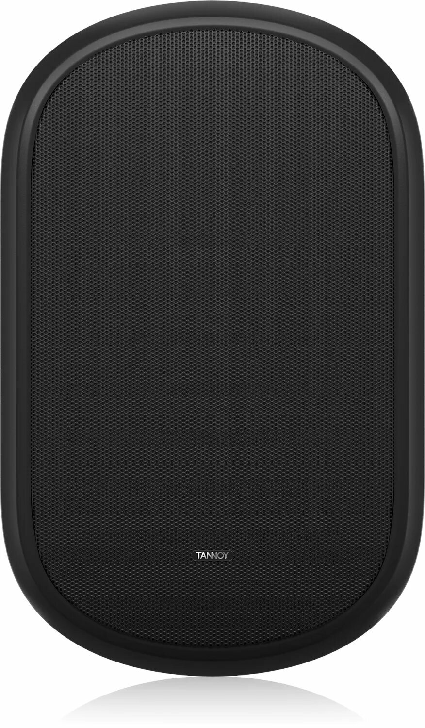 Акустическая система Tannoy DVS 601