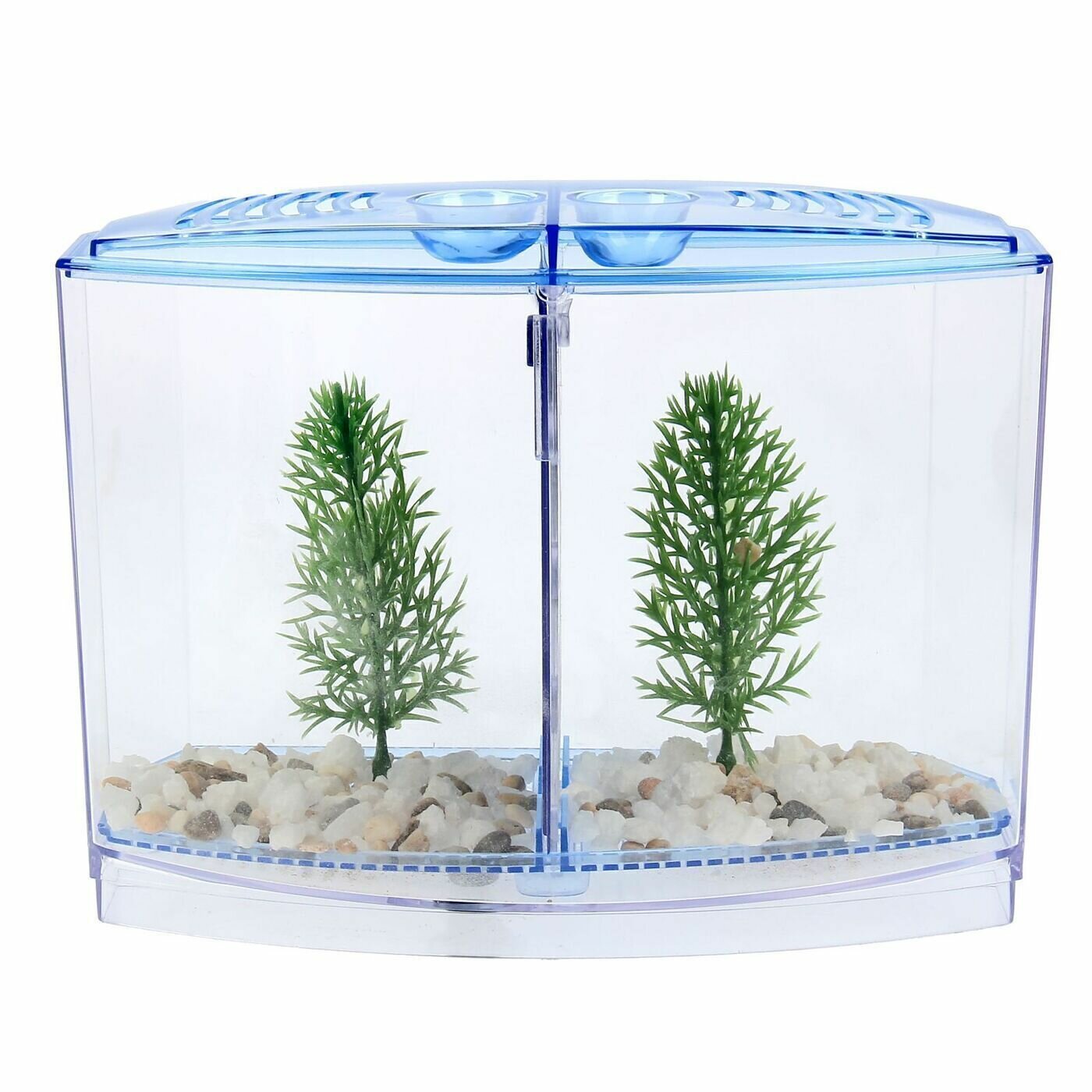 Аквариумный набор: отсадник двухсекционный с грунтом и 2 растениями