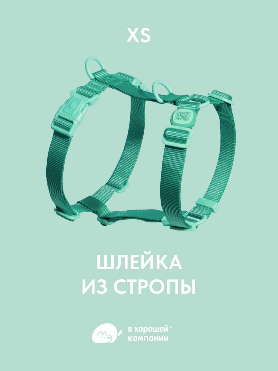 Шлейка для собак мелких пород и для кошек анатомическая IN GOOD COMPANY, с адресником из стропы, XS