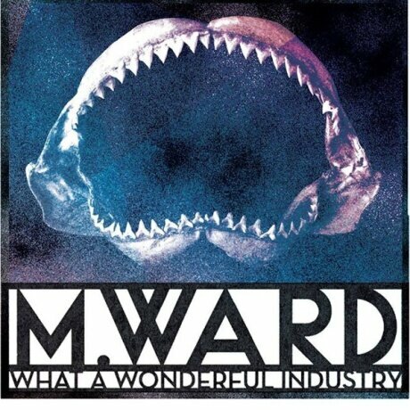 M. WARD What A Wonderful Industry (Компакт-диск)