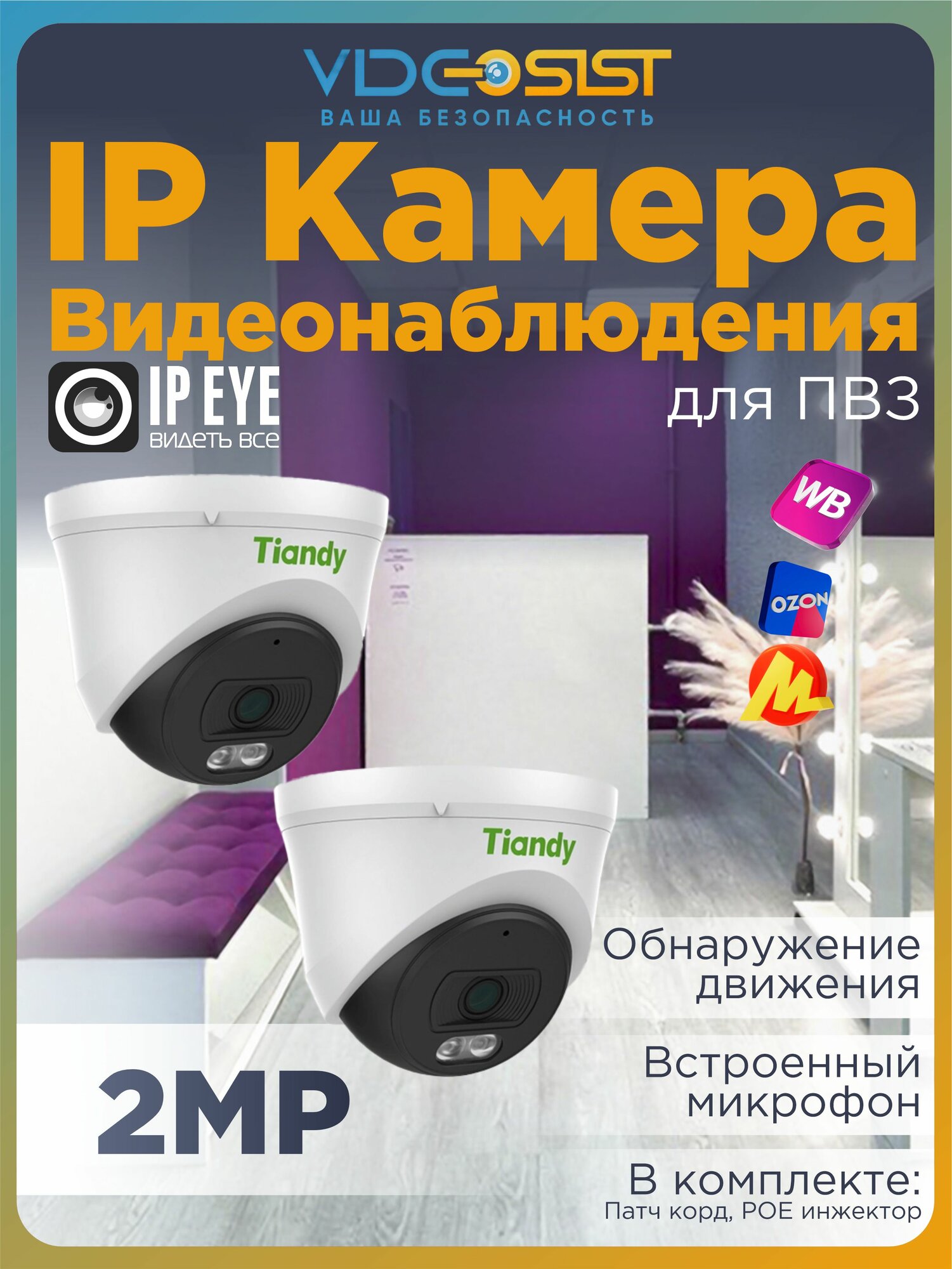 Камера для ПВЗ 2 IP камеры комплект с сервисом IPEYE Tiandy