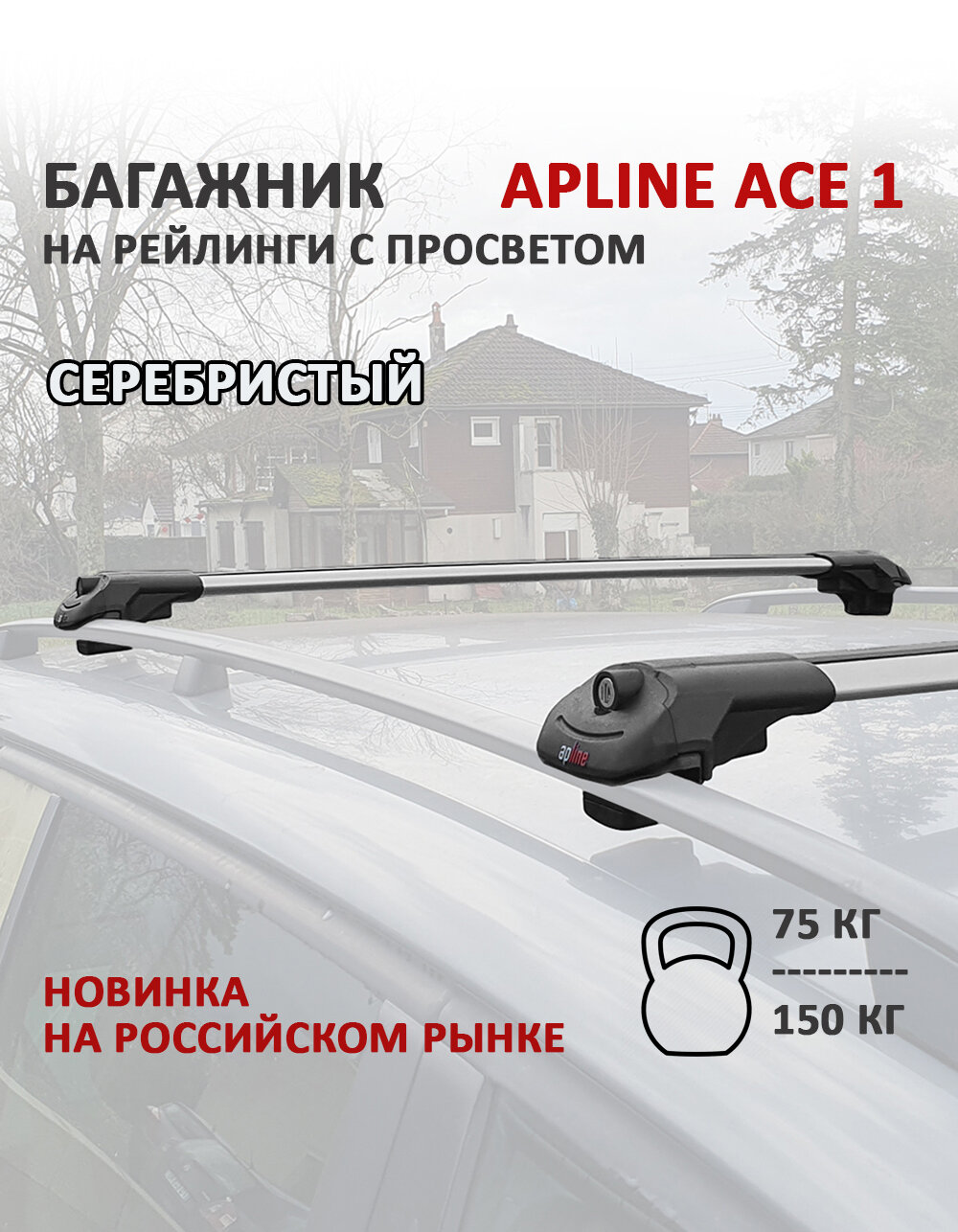 Багажник Apline Ace 1 для Chevrolet Traverse 2017 - н. в. II на рейлинги, серебристый